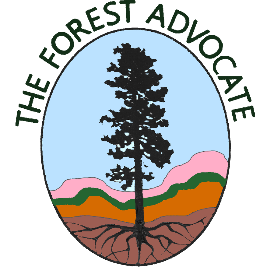 forest fuel treatments and wildfire risk - ­The Forest Advocate