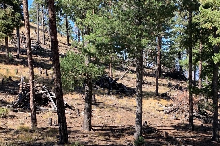 North Aztec Springs Burn 2023