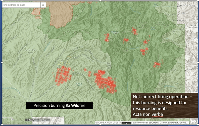 Consequences of burning our forests on purpose - ­The Forest Advocate
